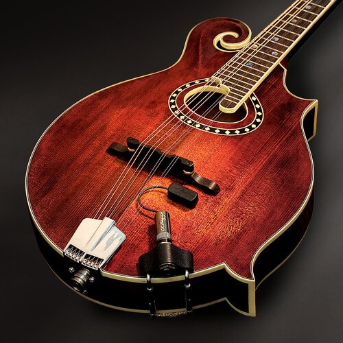 LR Baggs Radius-M Mandolin Pickup – External Jack Mount, Passive Senso ...